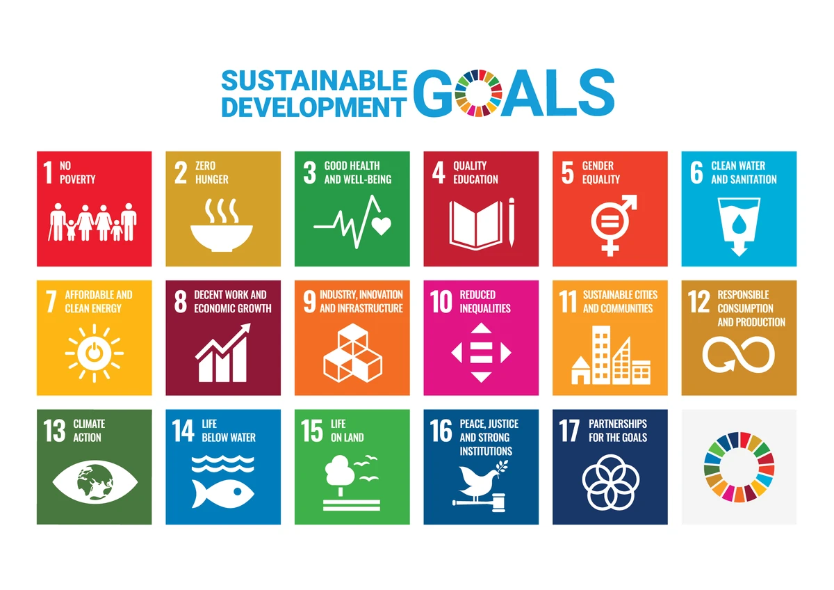 Sustainable Development Goals | SDG Wiki | Fandom