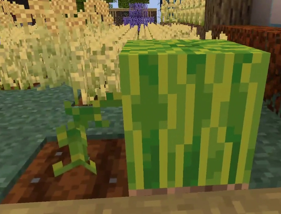 The Eternal Melon | SDMP Server Wiki | Fandom