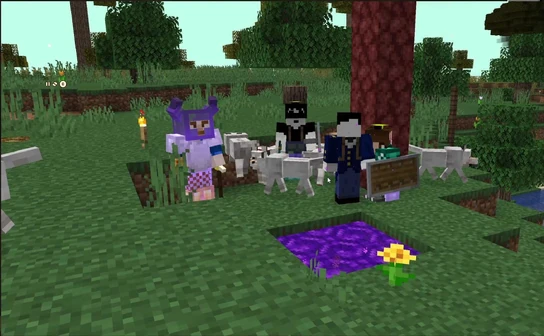 Wholesome 100 Adventure | SDMP Server Wiki | Fandom