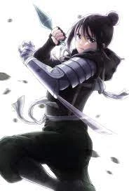 Lan Fan | Sea Of Second Chances Fanfic Wiki | Fandom
