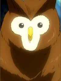 Fukuro | Sea Of Second Chances Fanfic Wiki | Fandom