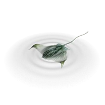 Azzlan | Seafight Wiki | Fandom