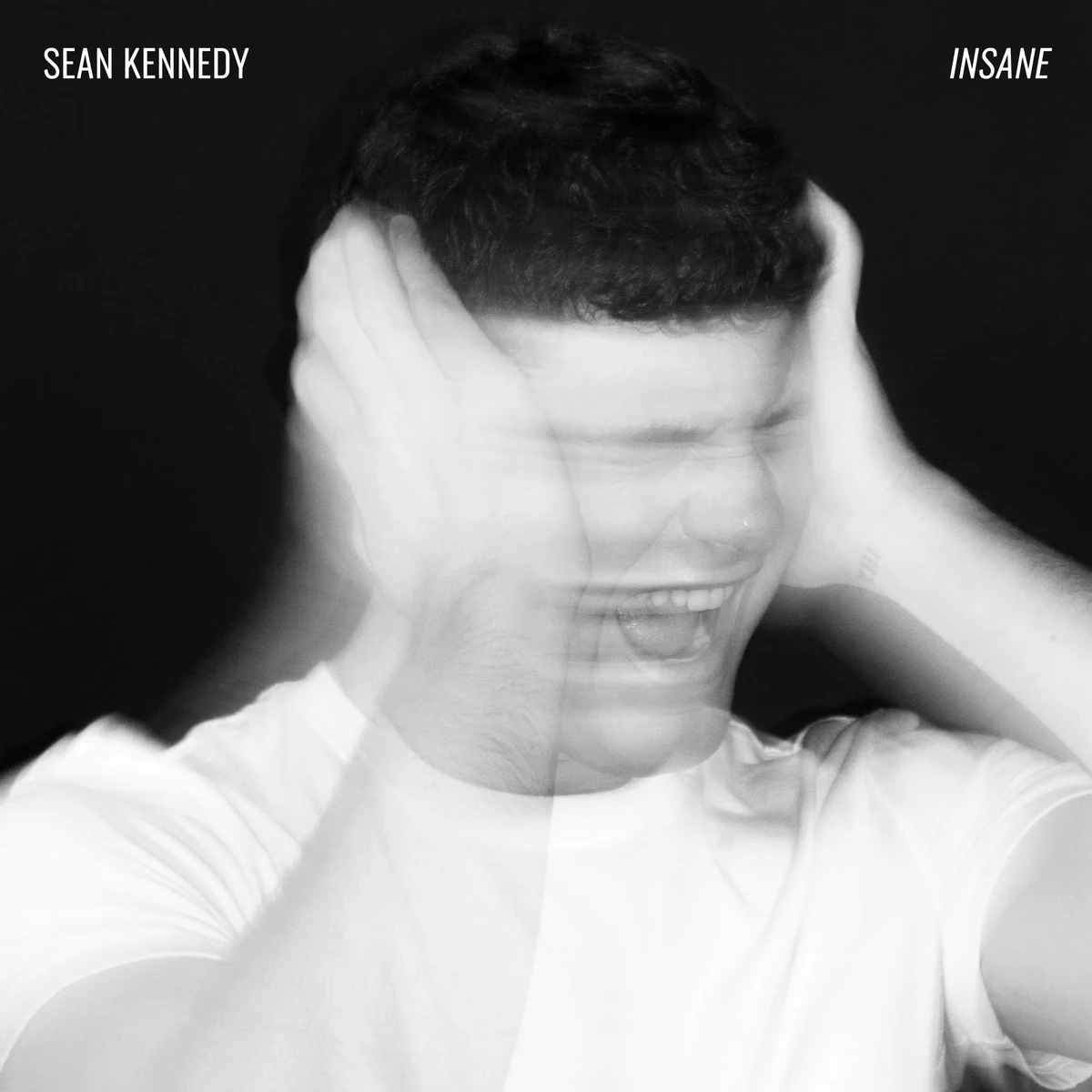 Insane (song) | Sean Kennedy Wiki | Fandom