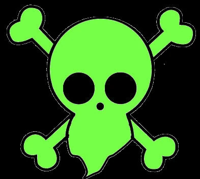 The Phantom Pirates | Sea of Fools Wiki | Fandom