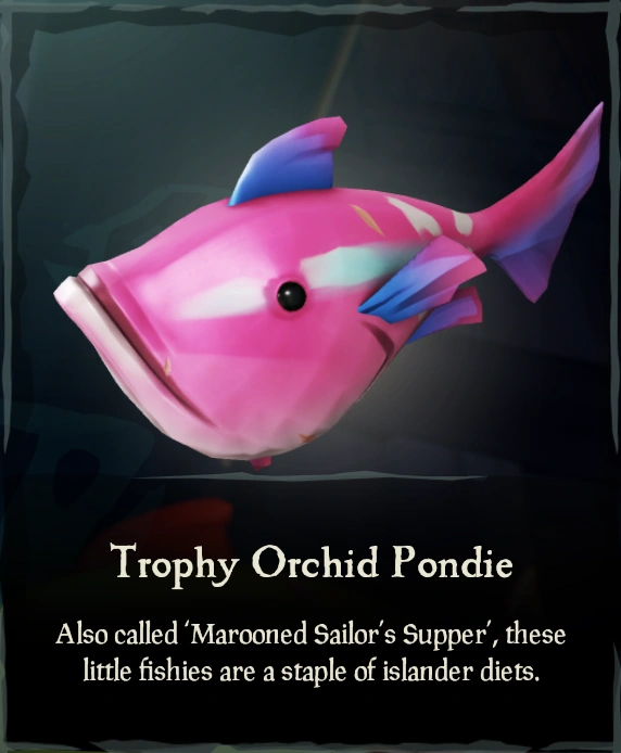Orchid Pondie | The Sea of Thieves Wiki