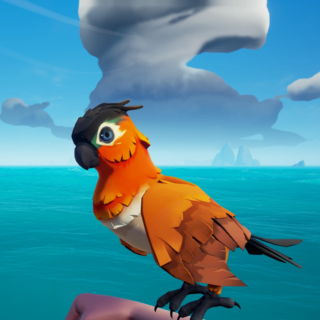 Sun Kissed Parakeet | The Sea of Thieves Wiki