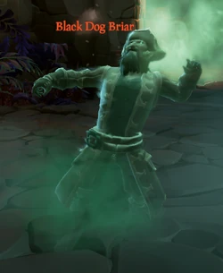 Black Dog Briar | The Sea of Thieves Wiki