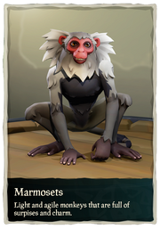 Monkeys | The Sea of Thieves Wiki
