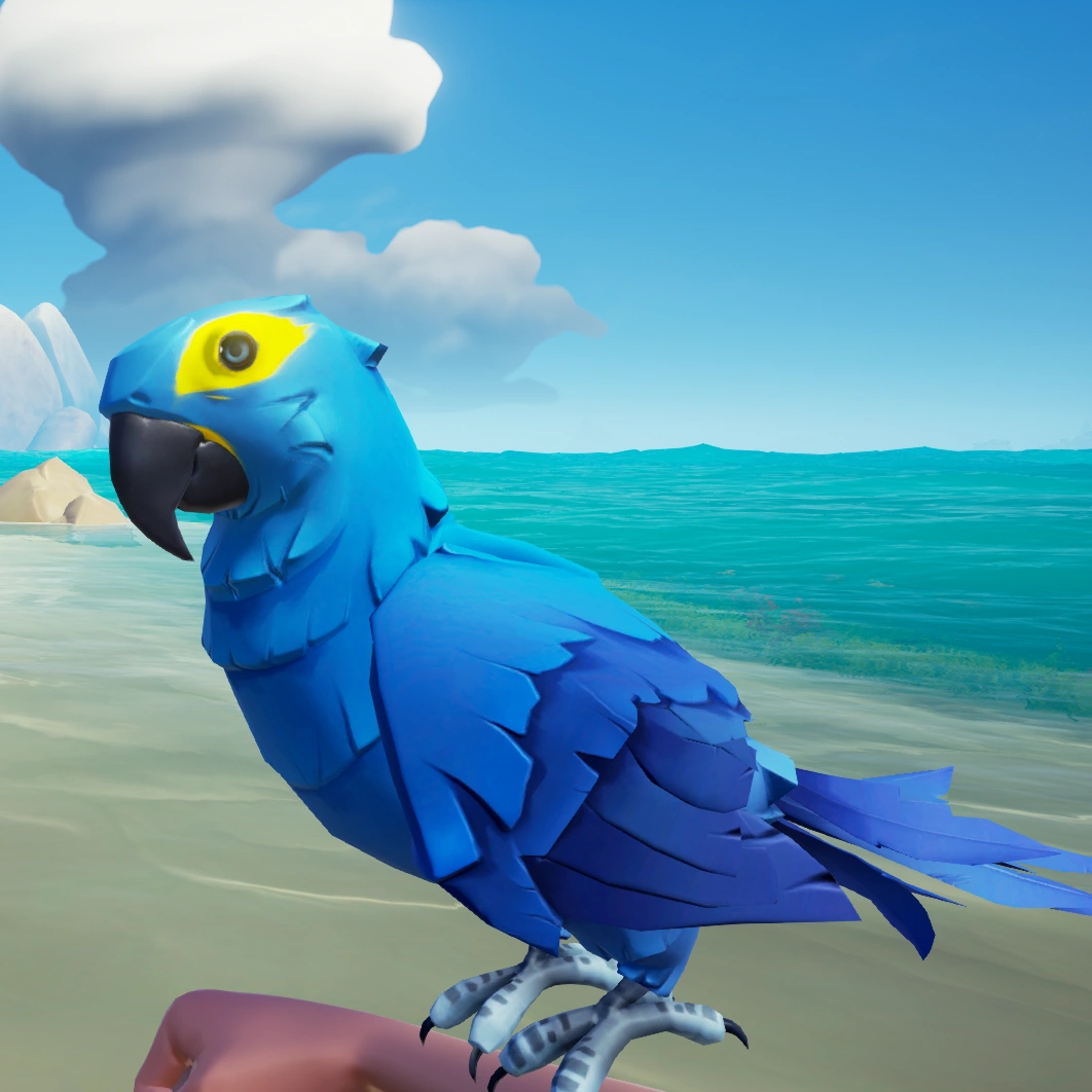 Azure Macaw | The Sea of Thieves Wiki