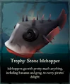 Stone Islehopper | The Sea of Thieves Wiki