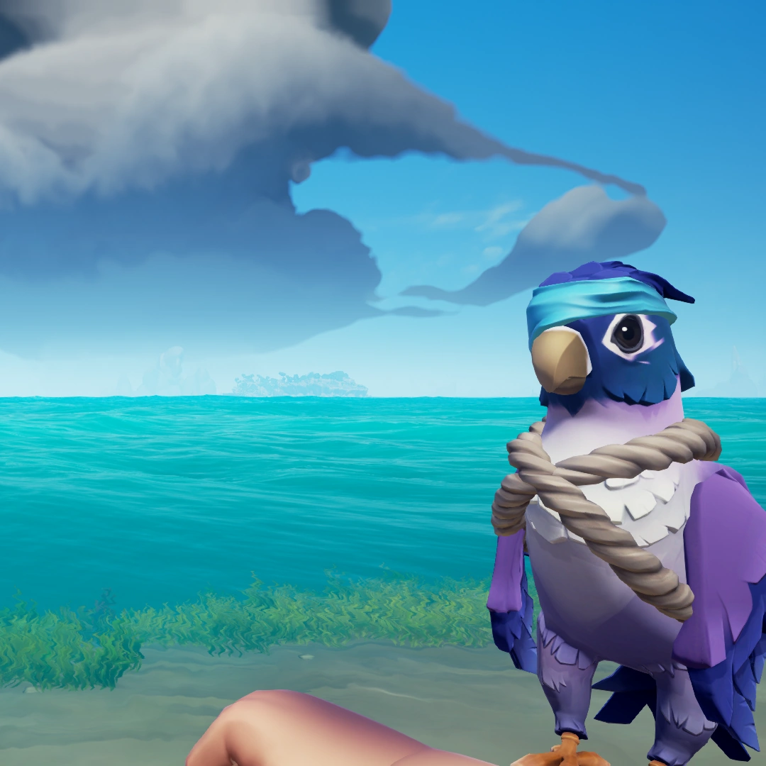 Parakeet Bilge Rat Outfit | The Sea of Thieves Wiki