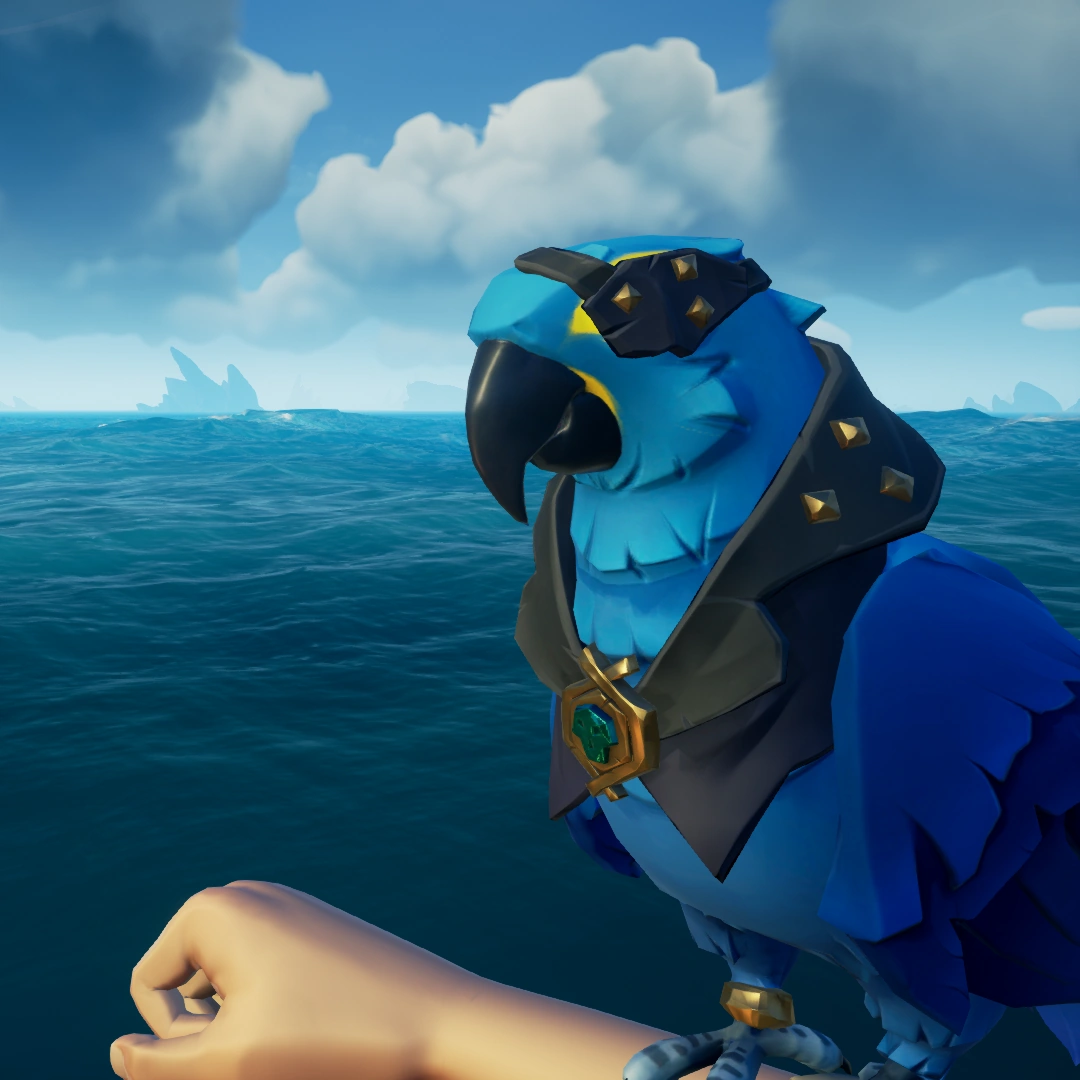 Macaw Pirate Legend Outfit | The Sea of Thieves Wiki