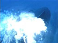 Splashdown | SeaQuest DSV | Fandom