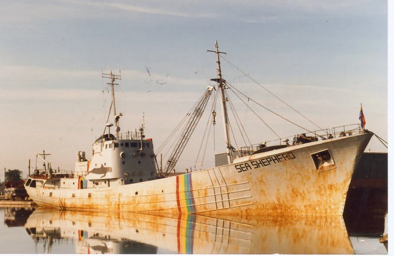 Sea Shepherd II | Sea Shepherd Wiki | Fandom