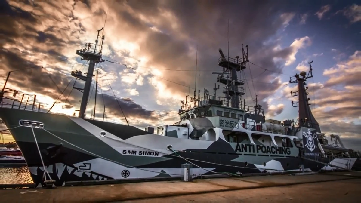 MY Sam Simon | Sea Shepherd Wiki | Fandom