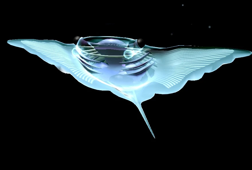 Anahera | Wiki Seashine | Fandom