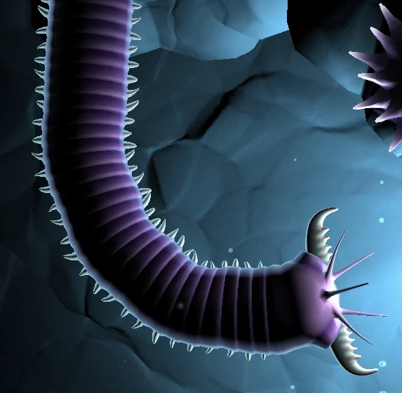 Kutukuura | Wiki Seashine | Fandom