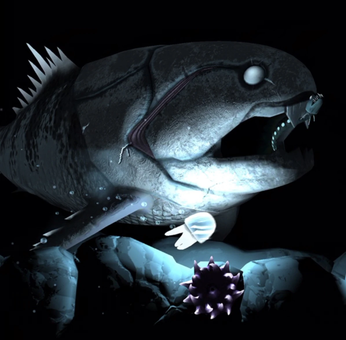 Nakahika/Galería | Wikia Seashine | Fandom