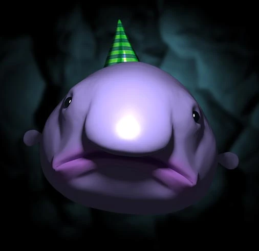 Momona/Galería | Wiki Seashine | Fandom