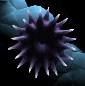 Mahanahae | Wiki Seashine | Fandom