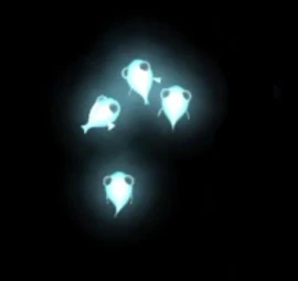 Mapura | Wiki Seashine | Fandom