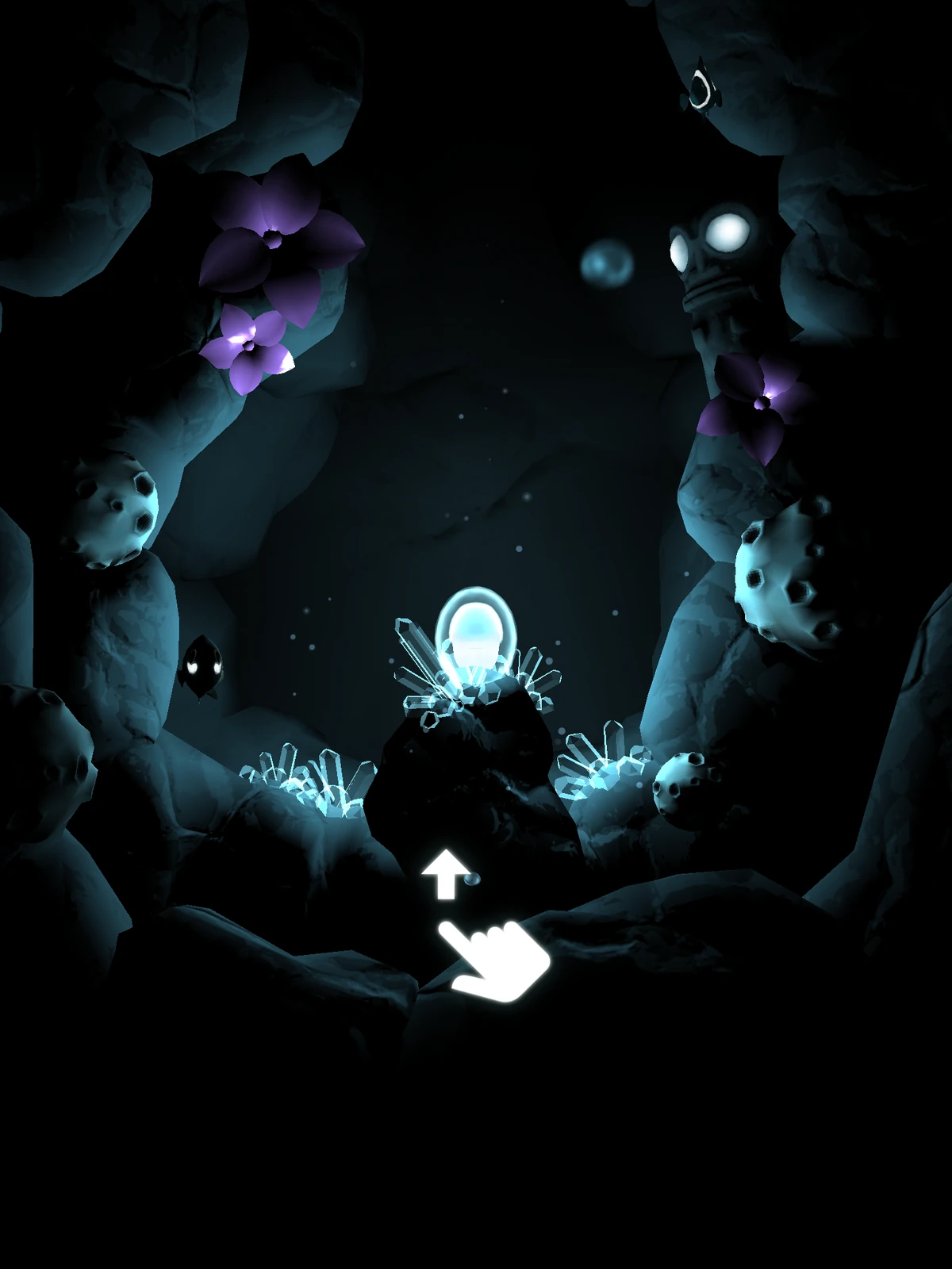 Seashine - Official Seashine Wiki