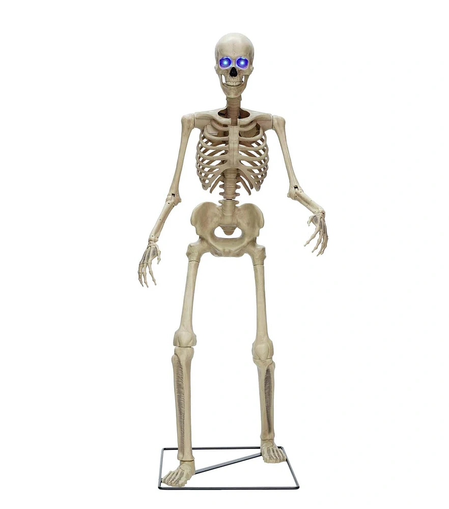 5ft Animatronic Skeleton | Seasonal Visions Wiki | Fandom