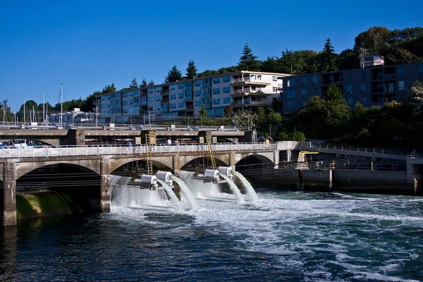 Ballard locks | Seattle tour for students Wiki | Fandom