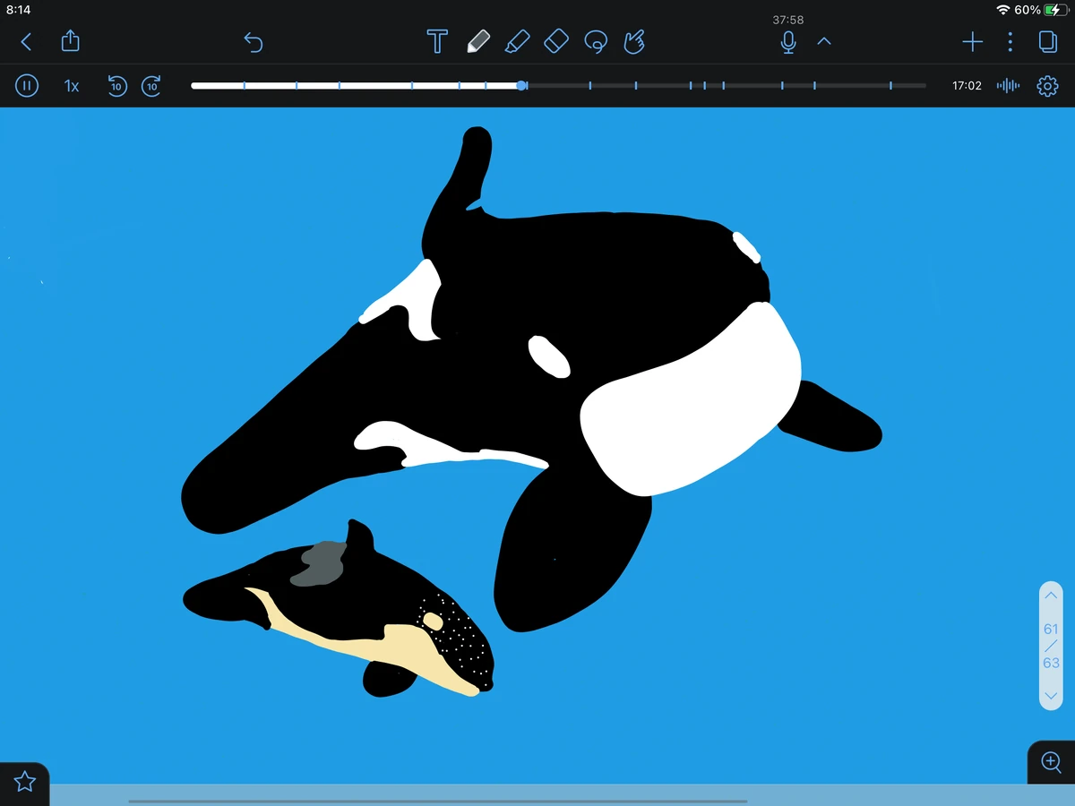 Paris | SeaWorld London,United kingdom Wiki | Fandom