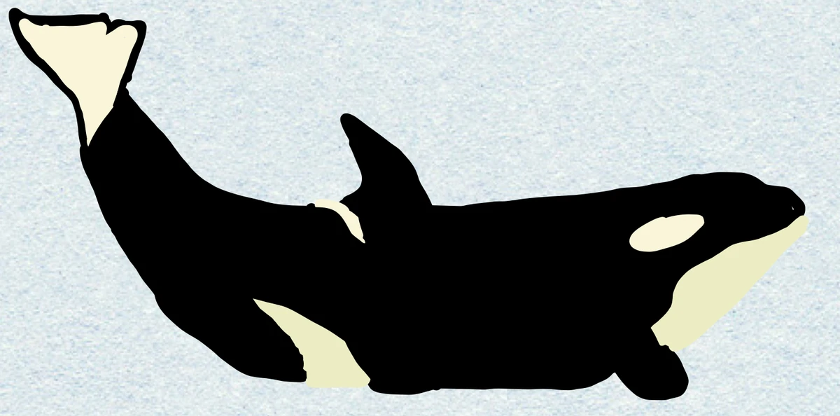 Milo | SeaWorld London,United kingdom Wiki | Fandom