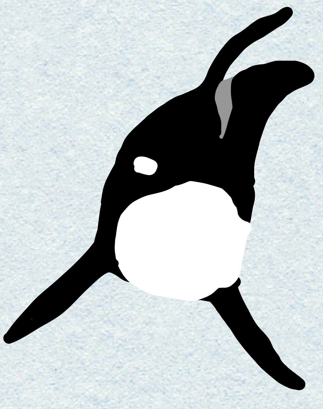 Angel | SeaWorld London,United kingdom Wiki | Fandom