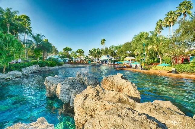 SeaWorld Orlando Dolphins | SeaWorld Marine Mammal Wiki | Fandom