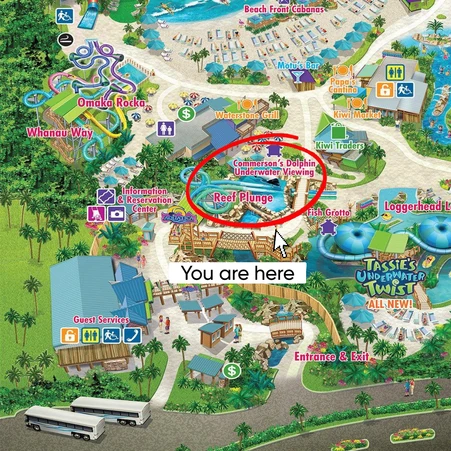 Aquatica (Orlando) | SeaWorld Marine Mammal Wiki | Fandom