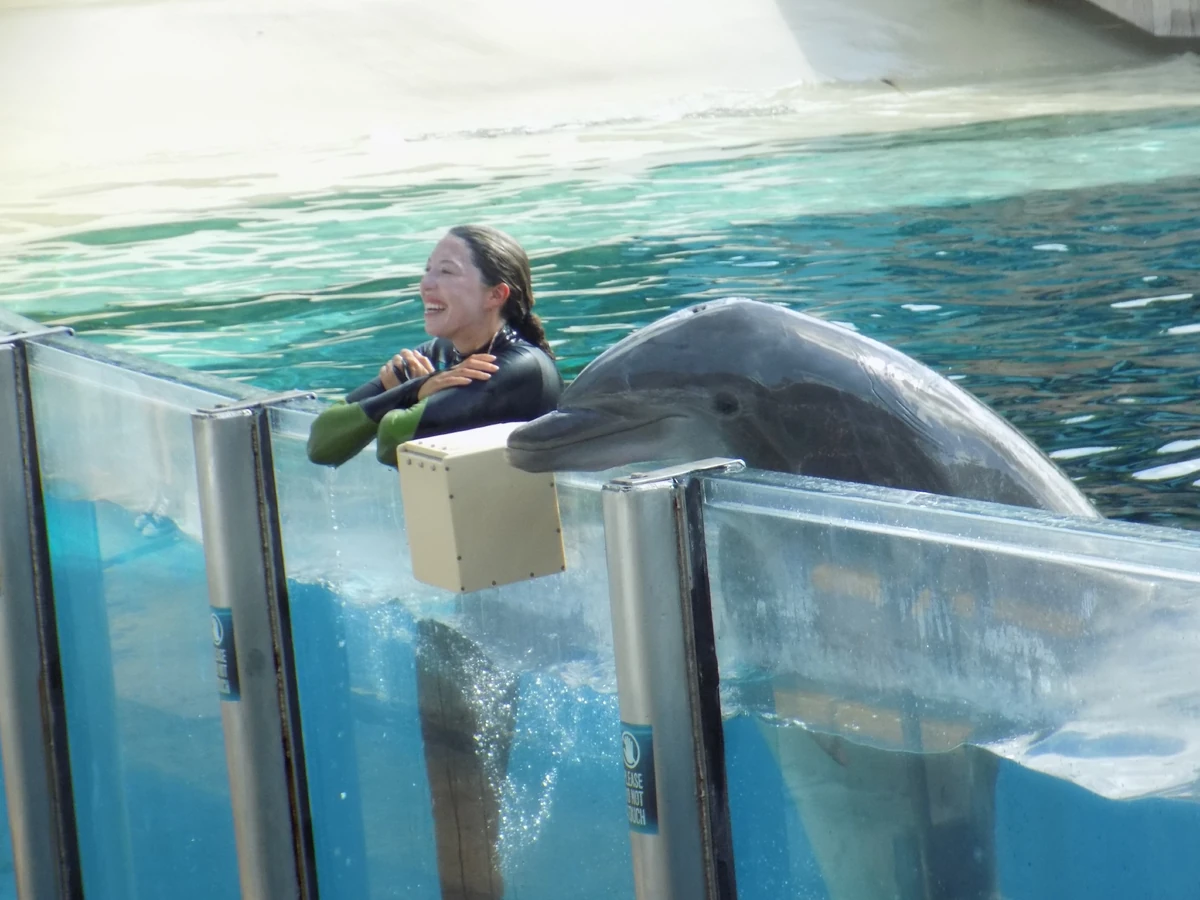 Marble (SWO) | SeaWorld Marine Mammal Wiki | Fandom