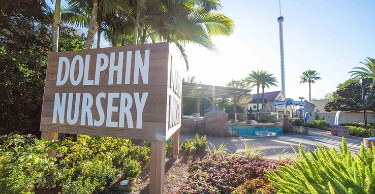 SeaWorld Orlando Dolphins | SeaWorld Marine Mammal Wiki | Fandom