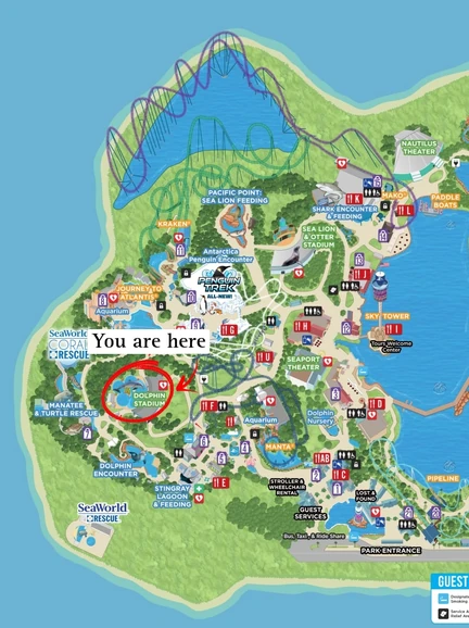 SWO Dolphin Stadium | SeaWorld Marine Mammal Wiki | Fandom