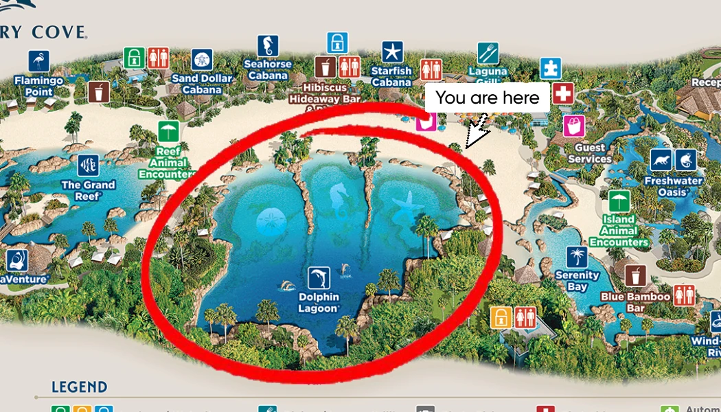 Discovery Cove (Orlando) Dolphins | SeaWorld Marine Mammal Wiki | Fandom