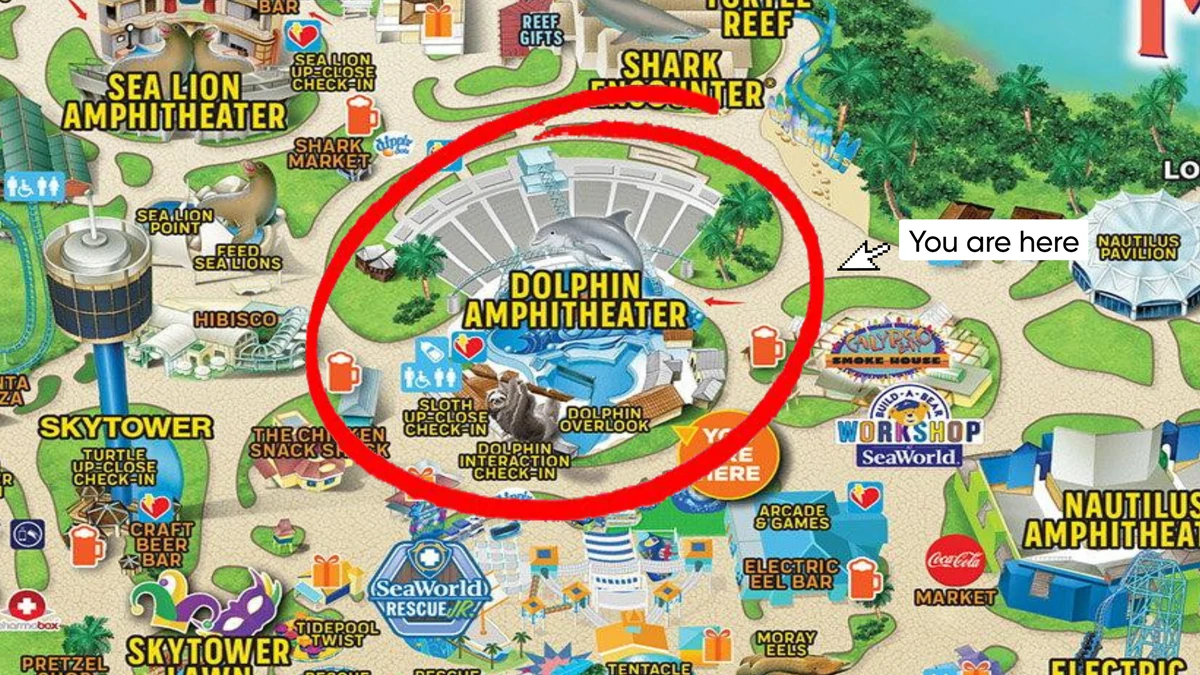 SeaWorld San Diego Dolphins | SeaWorld Marine Mammal Wiki | Fandom