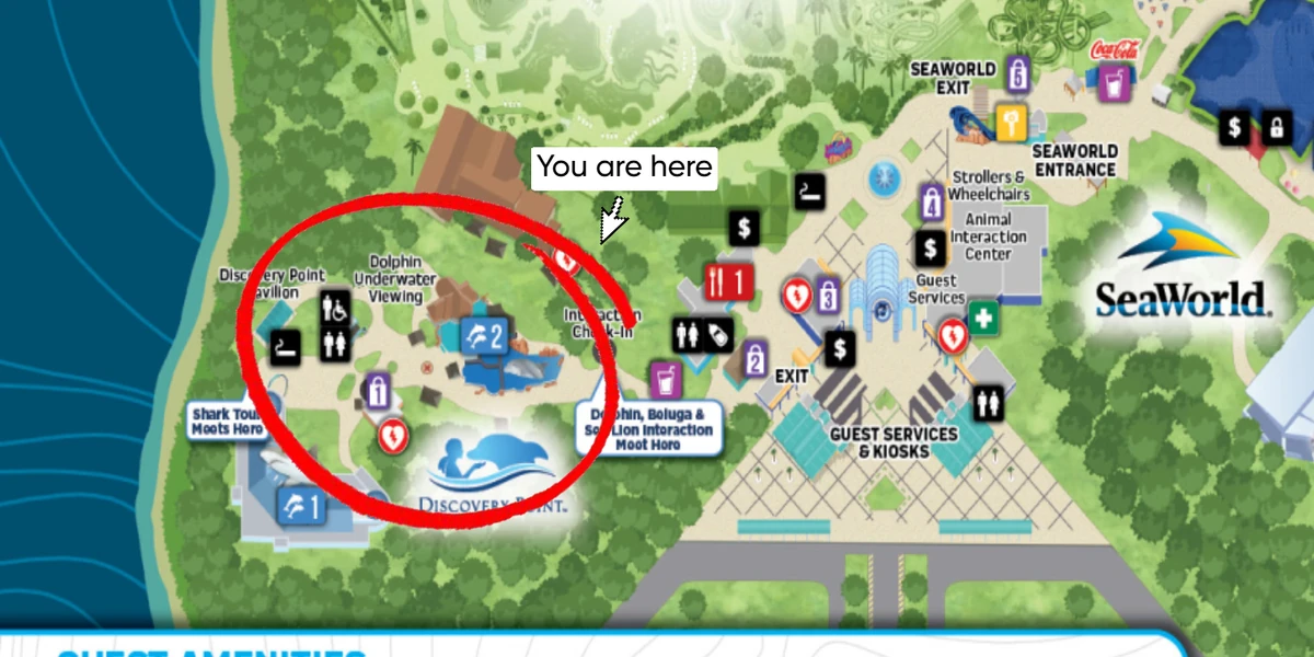 SeaWorld San Antonio Bottlenose Dolphins | SeaWorld Marine Mammal Wiki ...