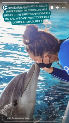 Apollo Photos | SeaWorld Orlando Dolphins Wiki | Fandom