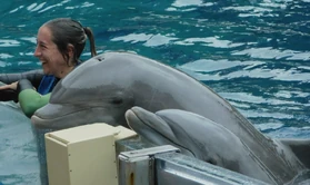 Bubba Photos | SeaWorld Orlando Dolphins Wiki | Fandom