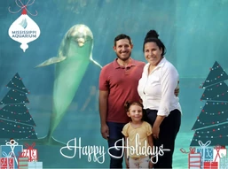 Axl Photos | SeaWorld Orlando Dolphins Wiki | Fandom