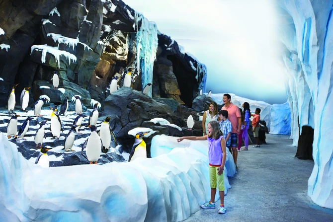 SeaWorld Orlando Wiki | Fandom