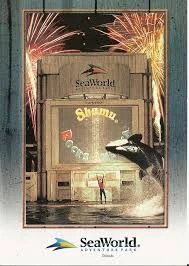 Shamu Rocks America | SeaWorld Orlando Wiki | Fandom