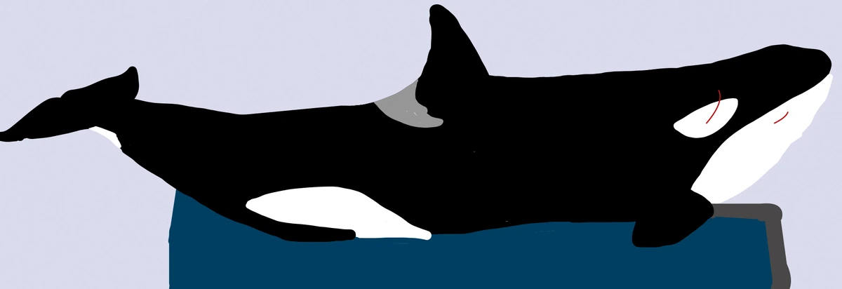 Nadia II | SeaWorld Sydney, Australia Wiki | Fandom
