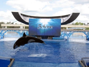 Shamu Stadium | SeaWorld Wiki | Fandom
