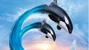 SeaWorld Wiki | Fandom