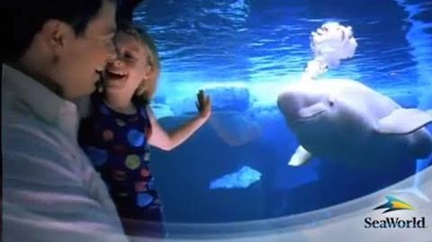 SeaWorld Wiki | Fandom