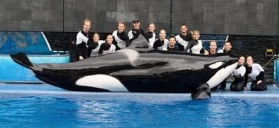 Kalina | SeaWorld Wikia | Fandom