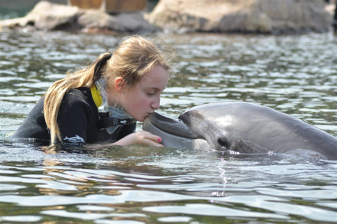 Capricorn | SeaWorld Wikia | Fandom